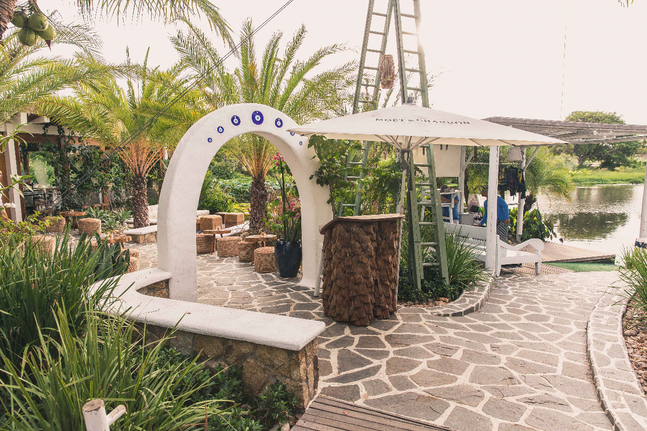 Colosso Fortaleza lança blog com experiência virtual - Frisson Online