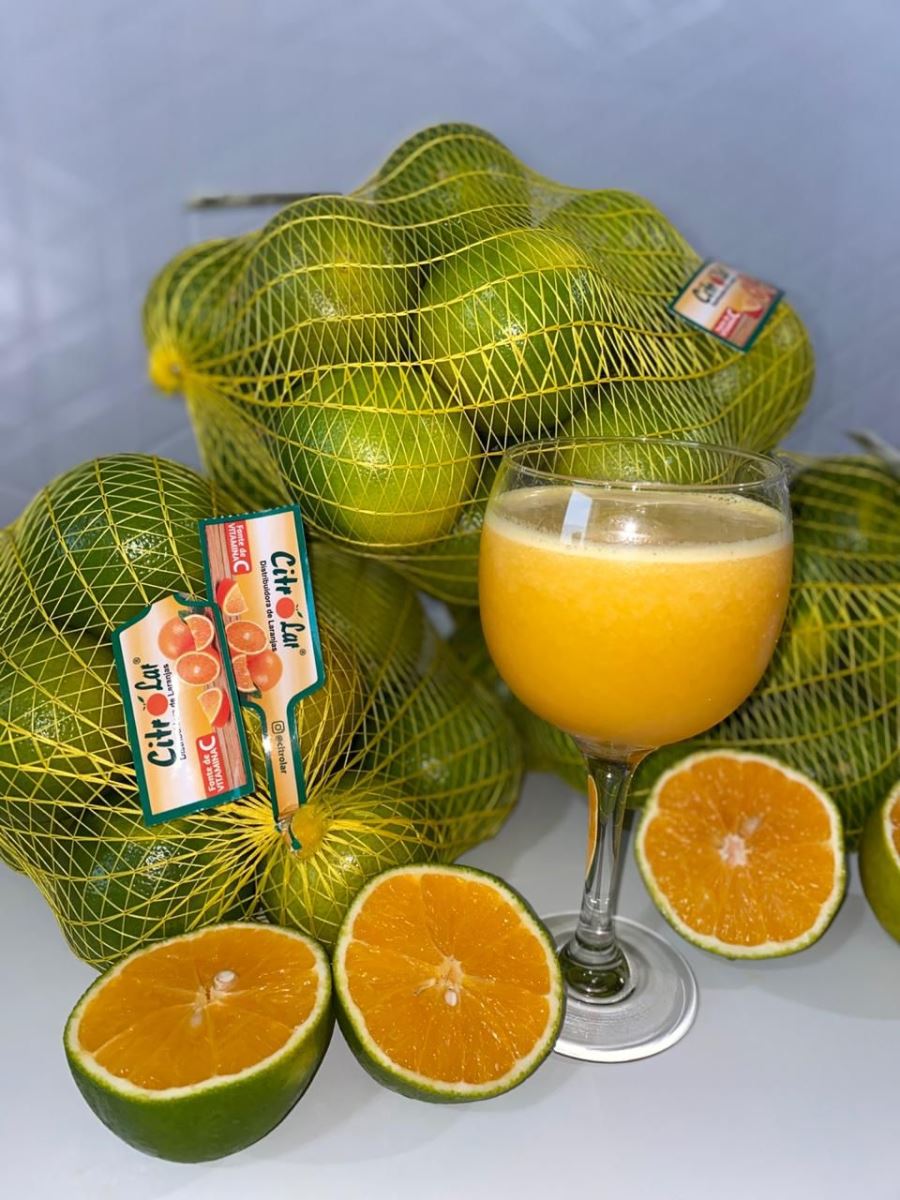 Citrolar: Família, história e qualidade - Frisson Online